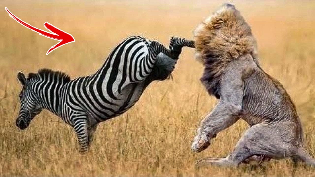 Top 10 Strongest Prey in the Wild: The Surprising Power of the Hunted ...