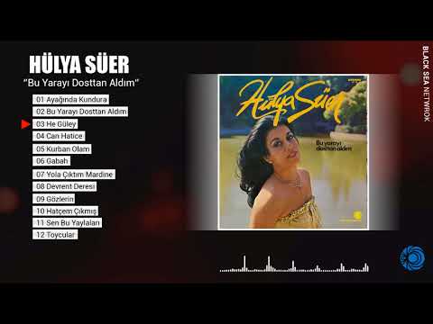 Bu Yarayı Dosttan Aldım Full Albüm / Hülya Süer