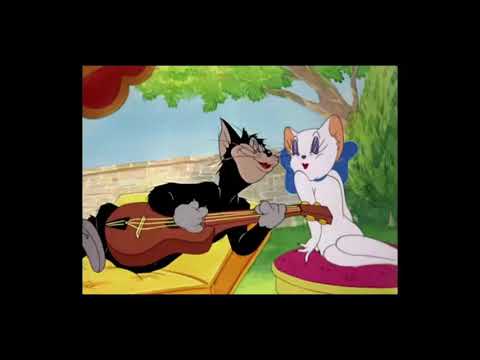 Komik Dertli kedi