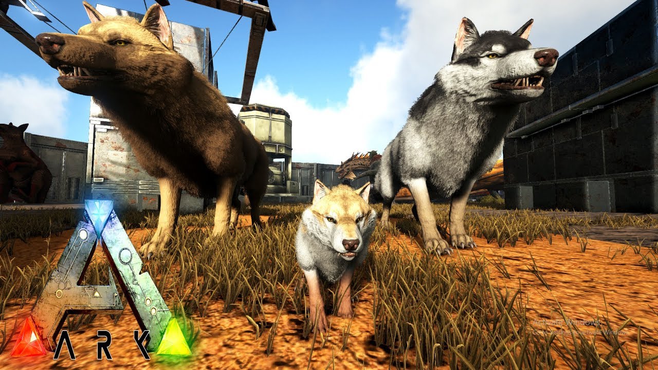 The New Wolves are Beautiful! Ark: Survival Evolved - YouTube