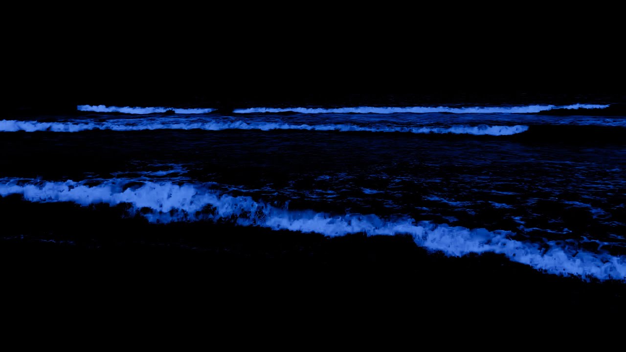 Gentle Blue Waves Wash Away Your Fatigue and Lull You into a Peaceful ...