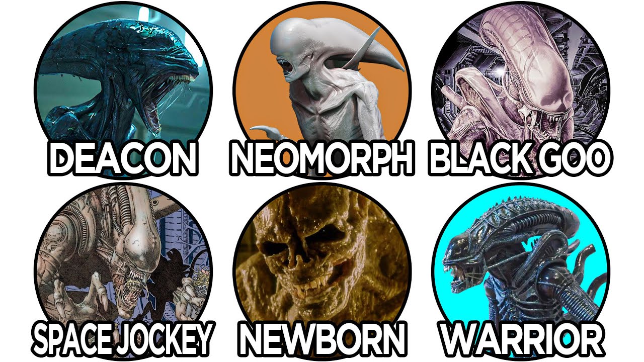 Every Single Alien XENOMORPH Ranked and Explained - YouTube