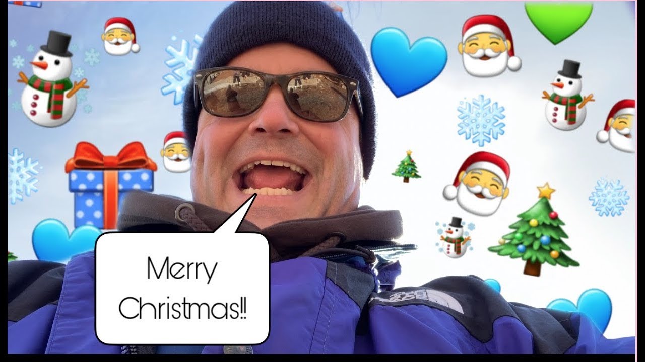 Cutting Down Our Christmas Tree π Youtube