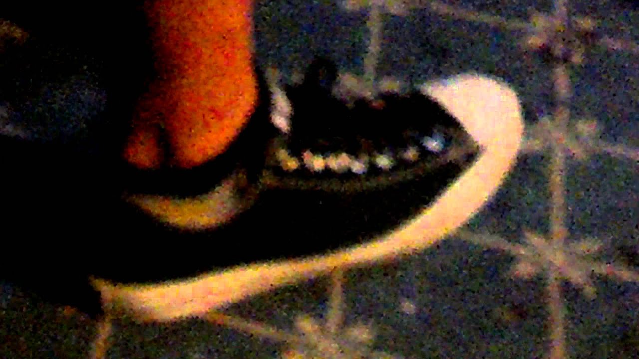 Arthur Costello-screaming in the night - YouTube