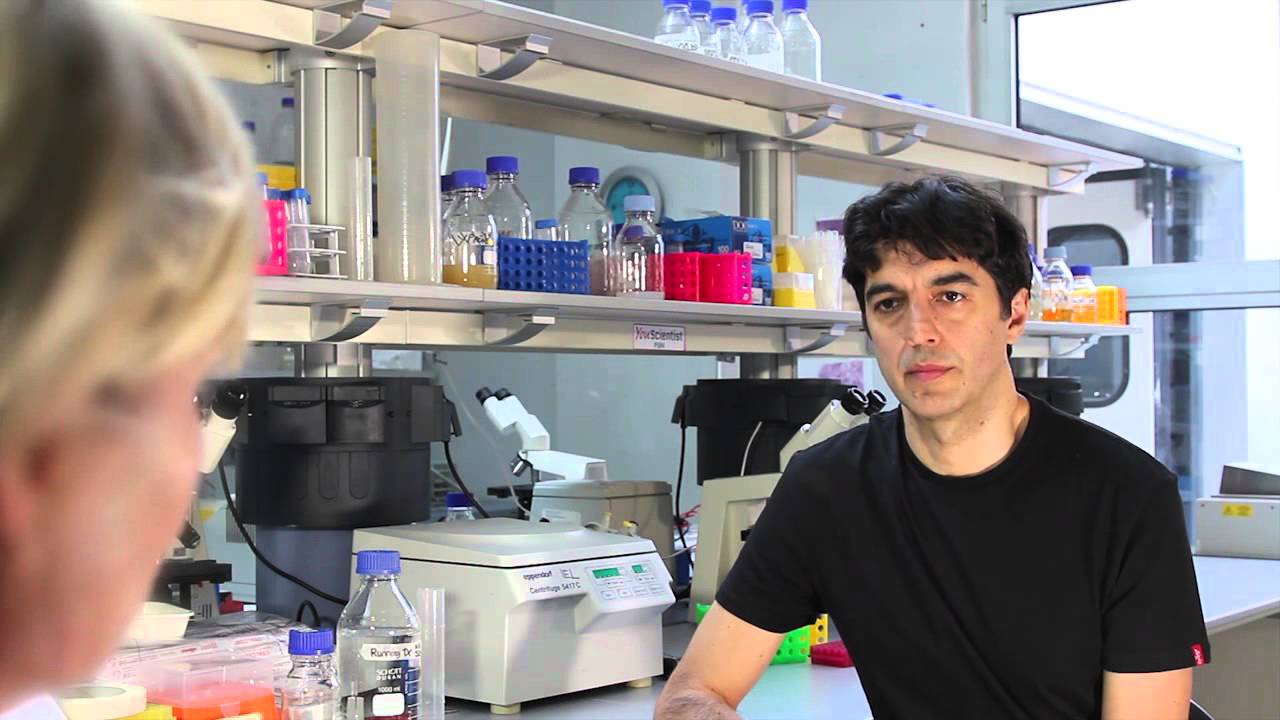 Treatments for Chronic Lymphocytic Leukemia - Crowdfunding Project ...