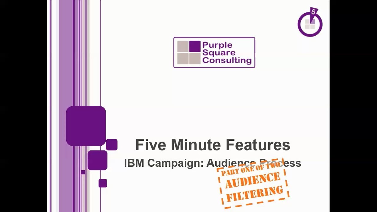 Using the Audience Process (1 of 2) - IBM Unica Campaign Tutorial - YouTube