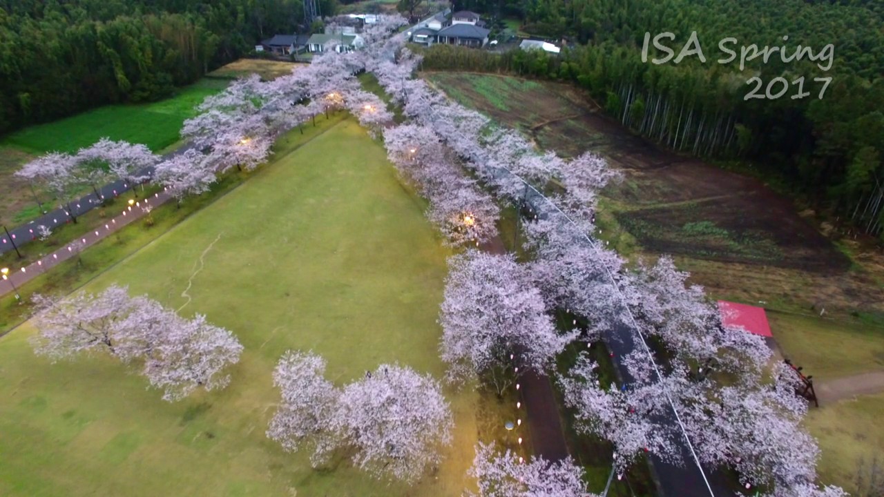 SAKURA ISA Kagoshima - YouTube