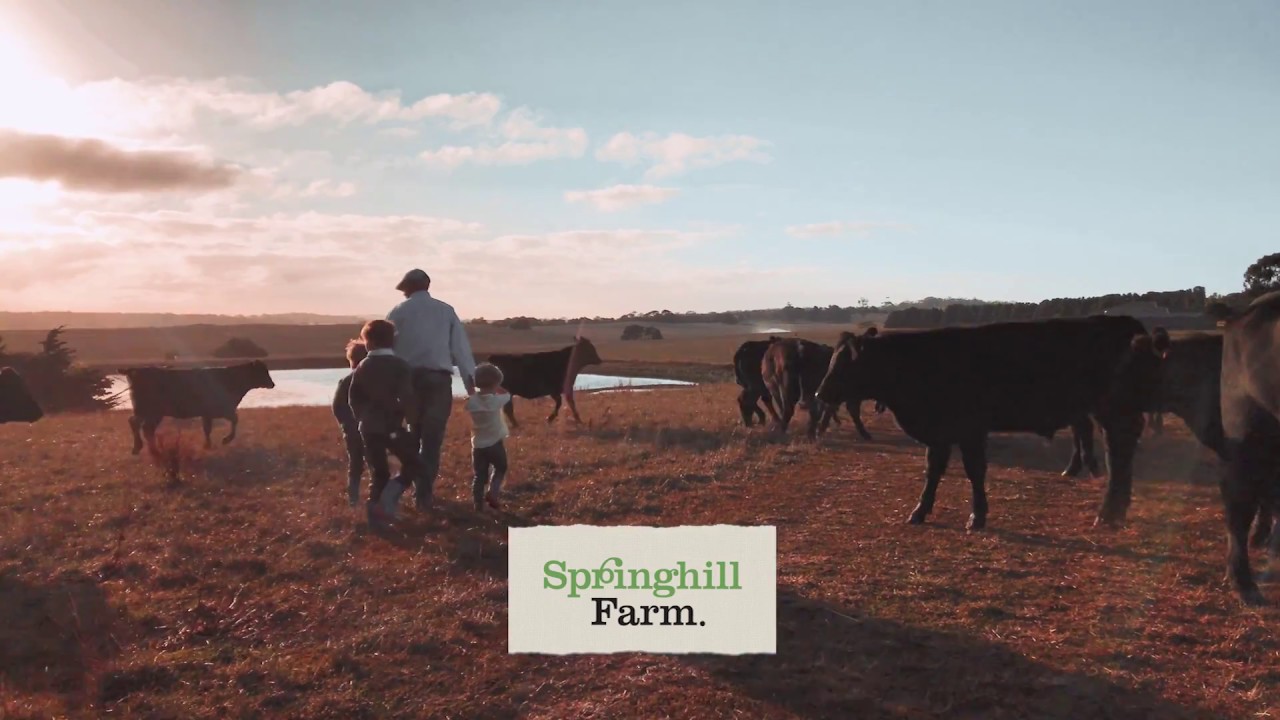 Springhill Farm HD - YouTube