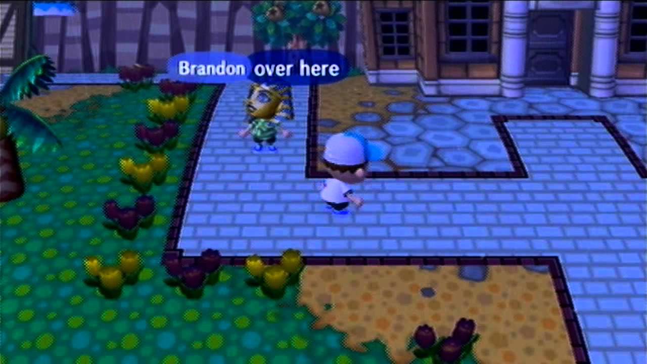 ACCF - Brandon Rage Quits - YouTube