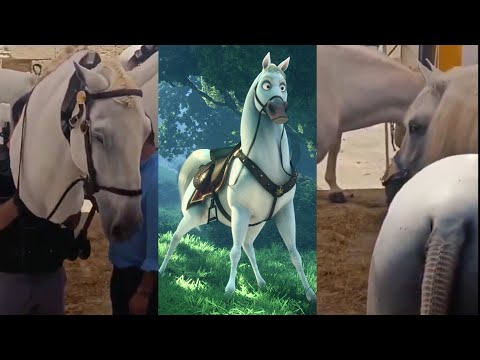 Tangled Live-Action Remake | First look at Maximus and auditions for Young Rapunzel