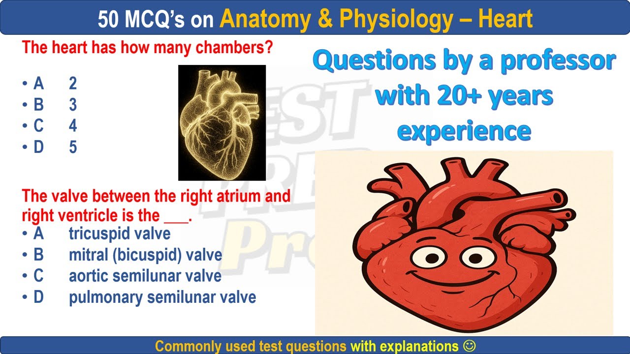 50 Heart practice questions by professor | #heart | #heartanatomy | # ...