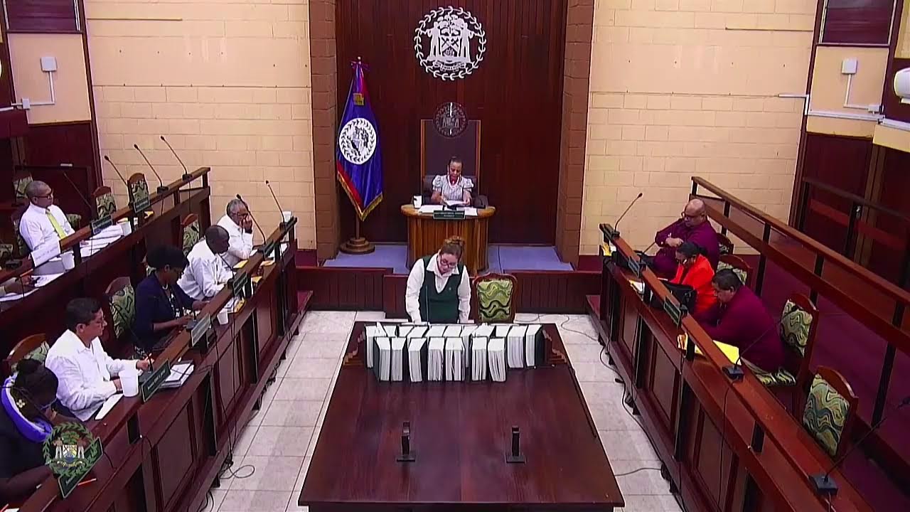 Sitting of the Senate | National Assembly of Belize - YouTube