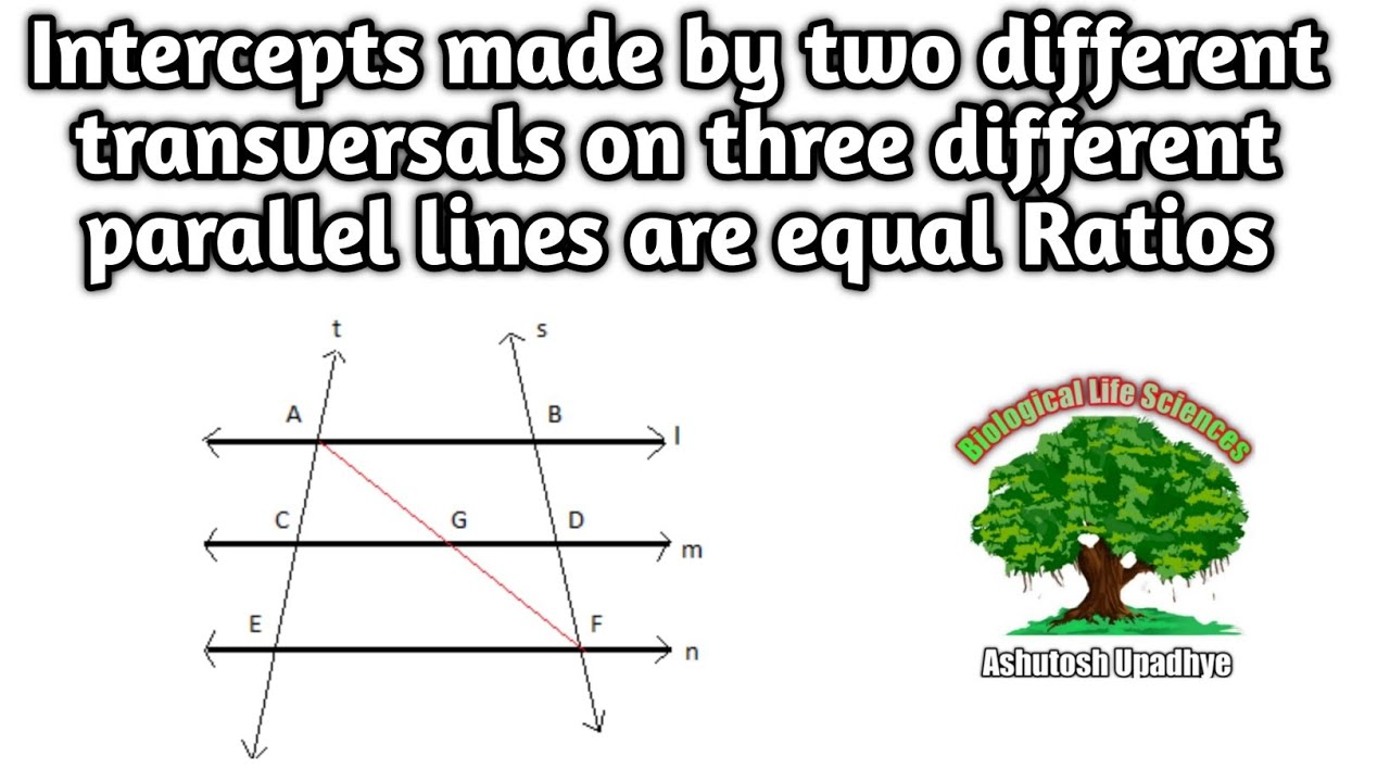 Intercept made by two different transversal on two different parallel ...