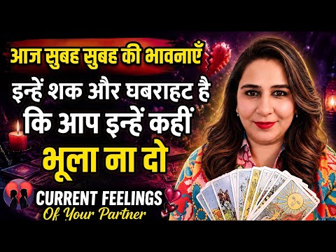 MORNING 🌄 THOUGHTS OF YOUR PERSON🧿NO CONTACT🧿HINDI TAROT READING🧿CURRENT FEELINGS OF YOUR PARTNER