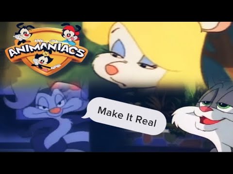 Animaniacs Best -Animated Music Video “Make It Real” - YouTube
