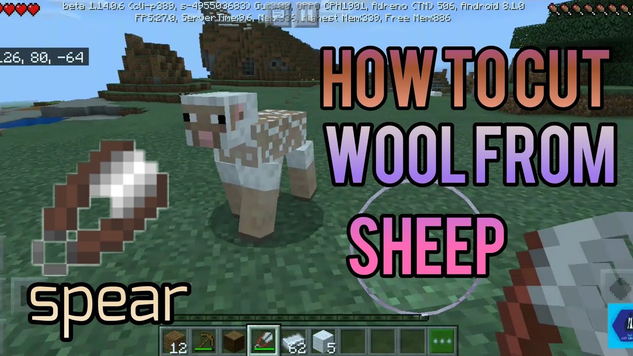 How To Get More Wool From Sheep In Minecraft YouTube how-to-get-more-wool-from-sheep-in-minecraft-youtube