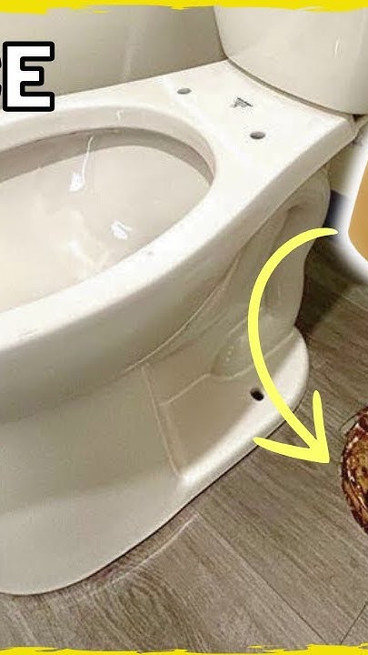 How To Replace Toilet Wax Ring - YouTube