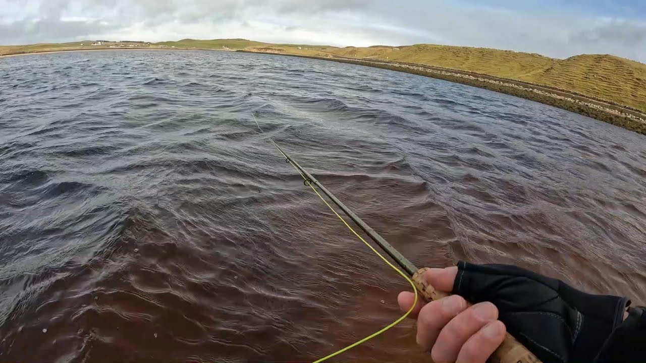 Seatrout - Saltwater Flyfishing in a Highland Estuary. March 2025 - YouTube