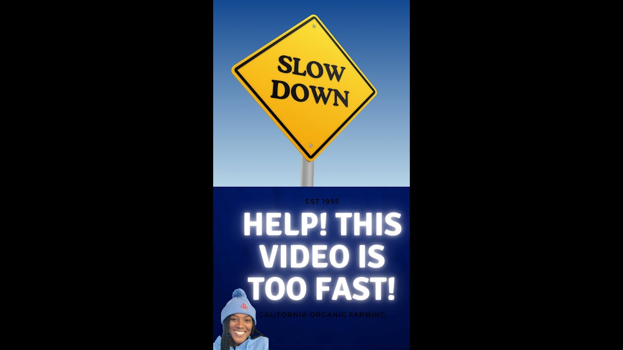 HELP!!! THE VIDEO IS GOING TOO FAST! - YouTube