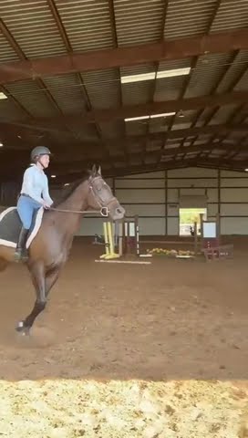 Cantering Bareback with Zeus #horse #equinewonders #horseenthusiast - YouTube