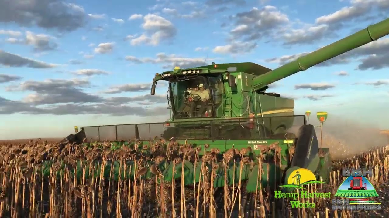 SuperCrop Row Crop Header - Sunflower Field - YouTube