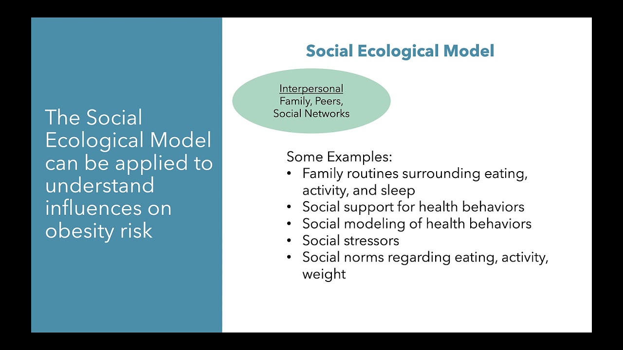 Social Ecological Theory