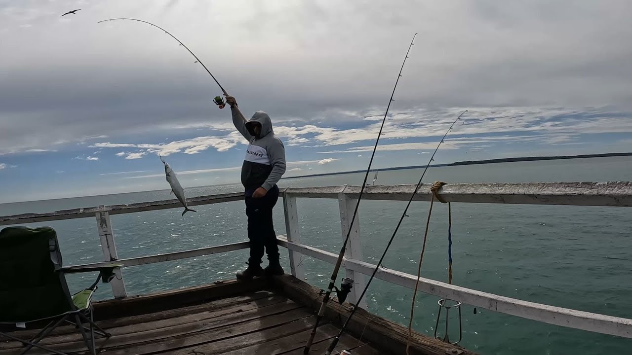 fishing trip with my wife to Hervey Bay Urangan Pier - YouTube