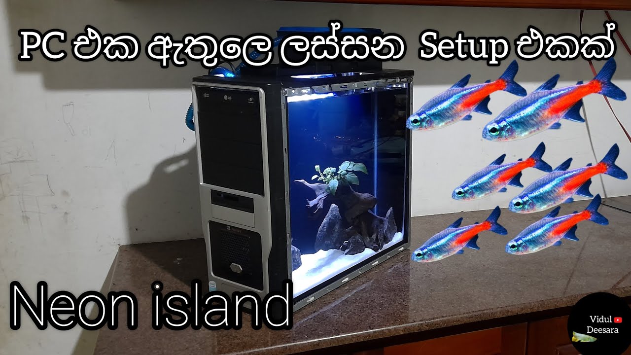 Beautiful tank setup in PC /ලස්සනම setup එකක් PC එක ඇතුලෙ part2 - YouTube