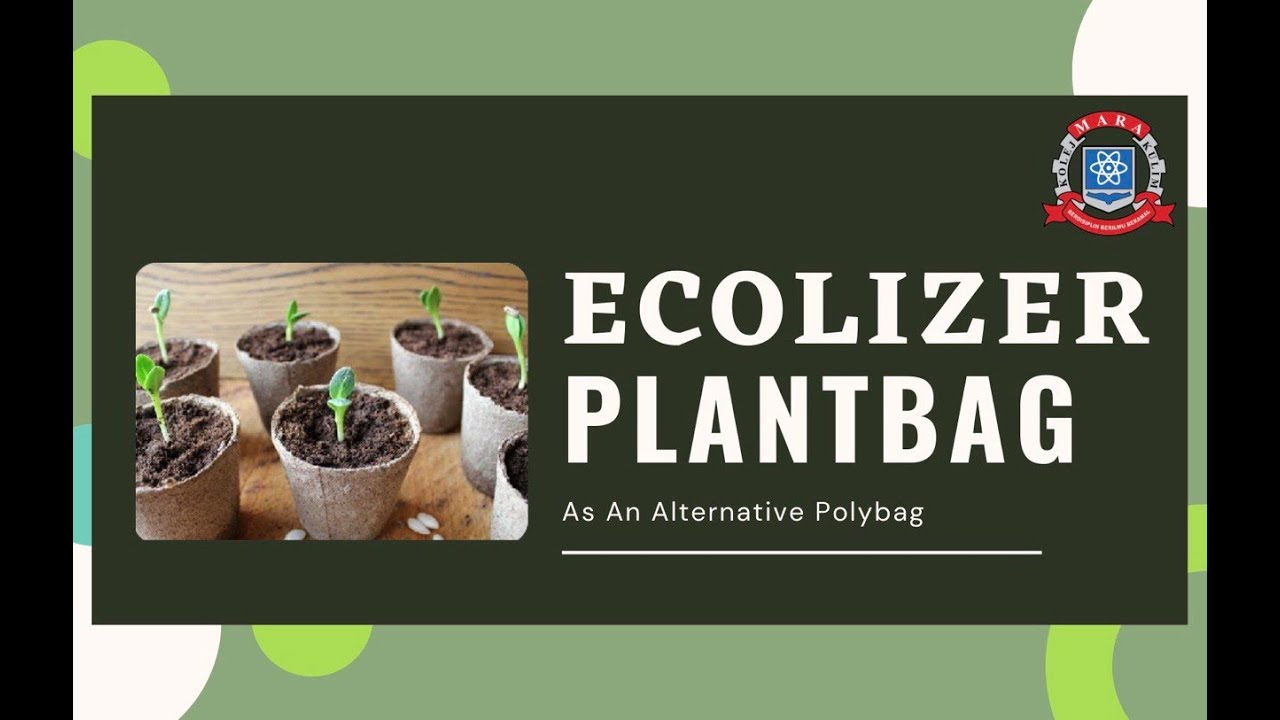 ECOLIZER PLANTBAG - YouTube