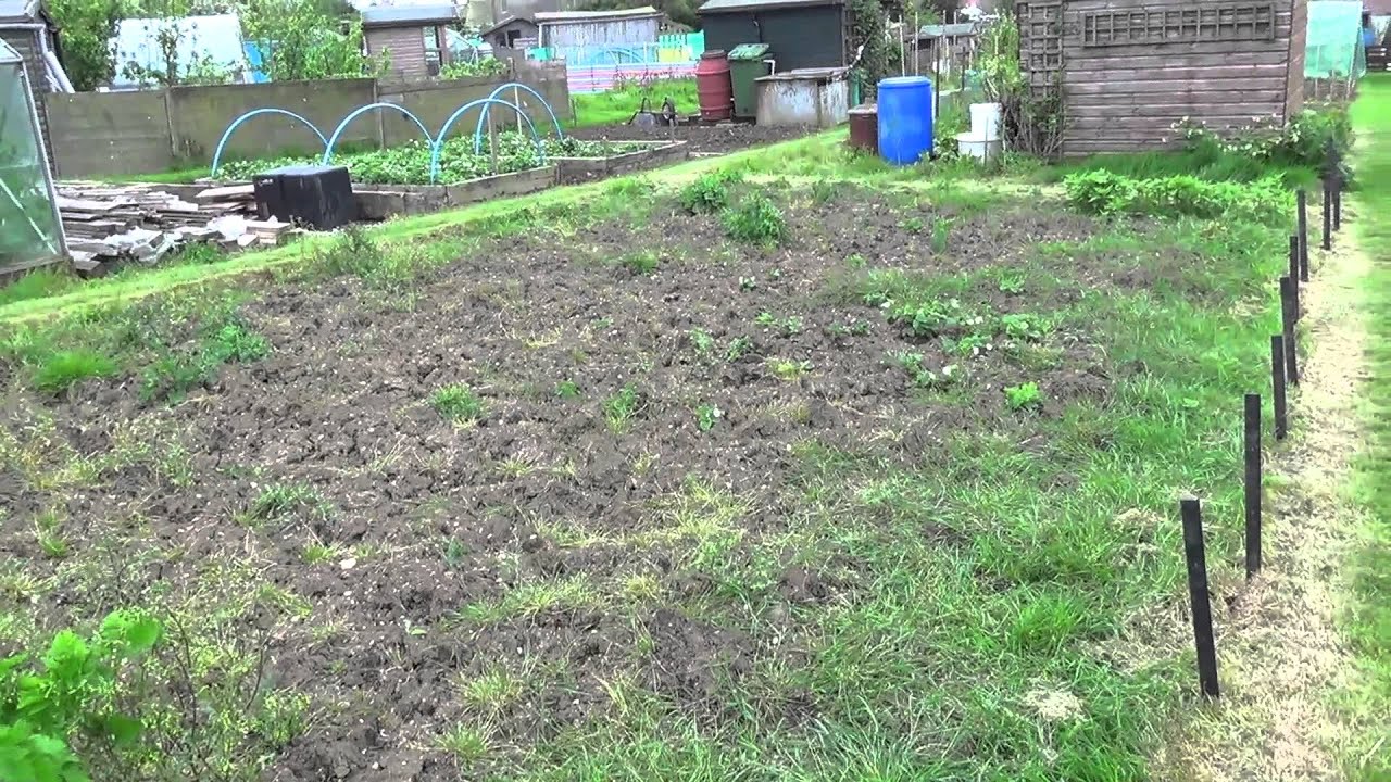 Allotment Tour - My New Allotment Plot - YouTube