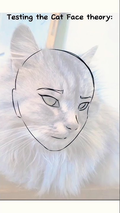 "Cat-Face" theory || By Ro_Angel #new #shorts #trending #drawing #art ...