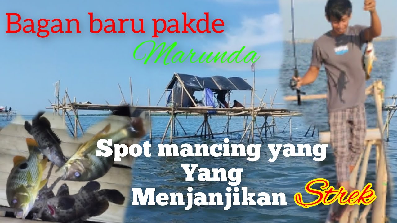mancing di bagan baru pakde marunda ||💯 ikan nya rakus - YouTube