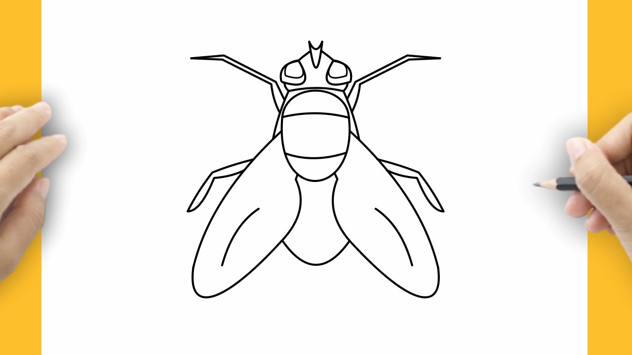 HOW TO DRAW FLY GUY EASY STEP BY STEP - YouTube