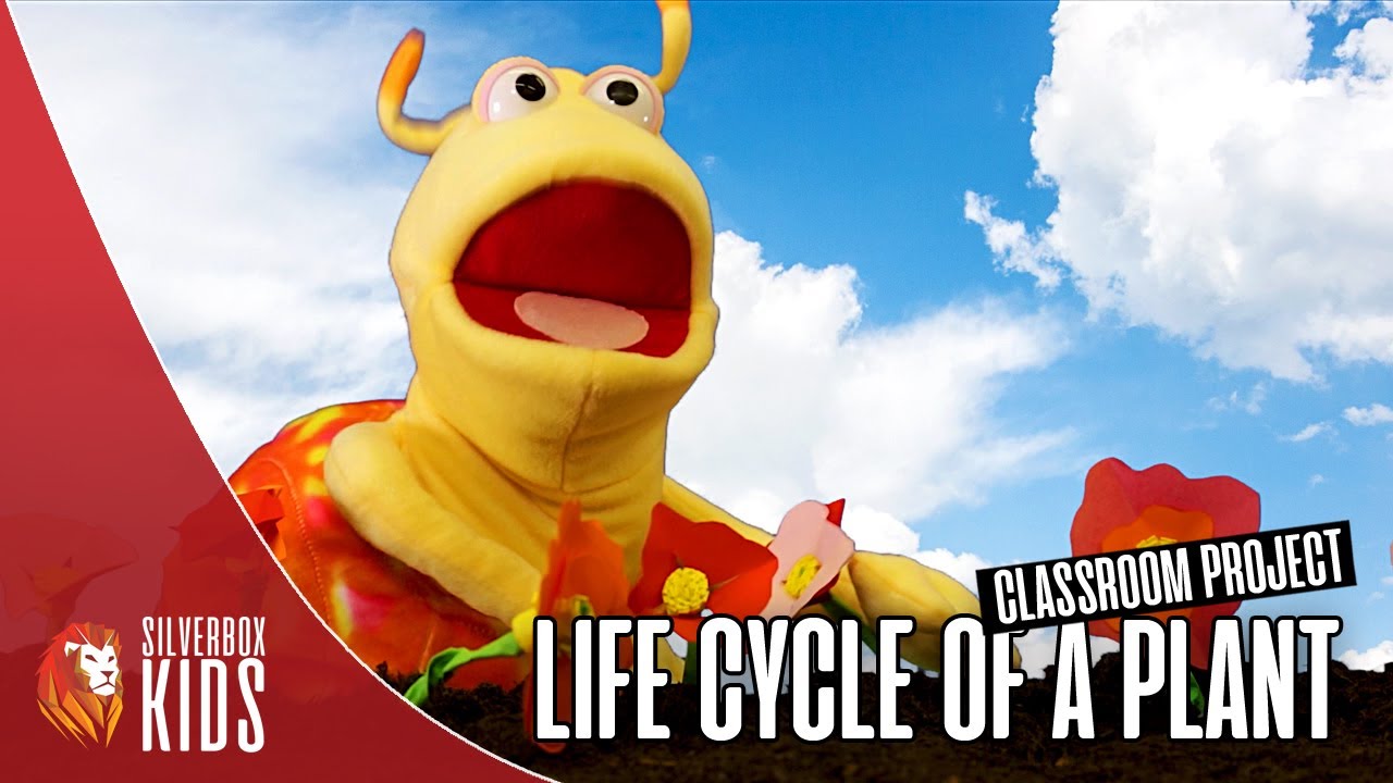 Find out why plants grow | Life cycle of a plant | Videos by students ...
