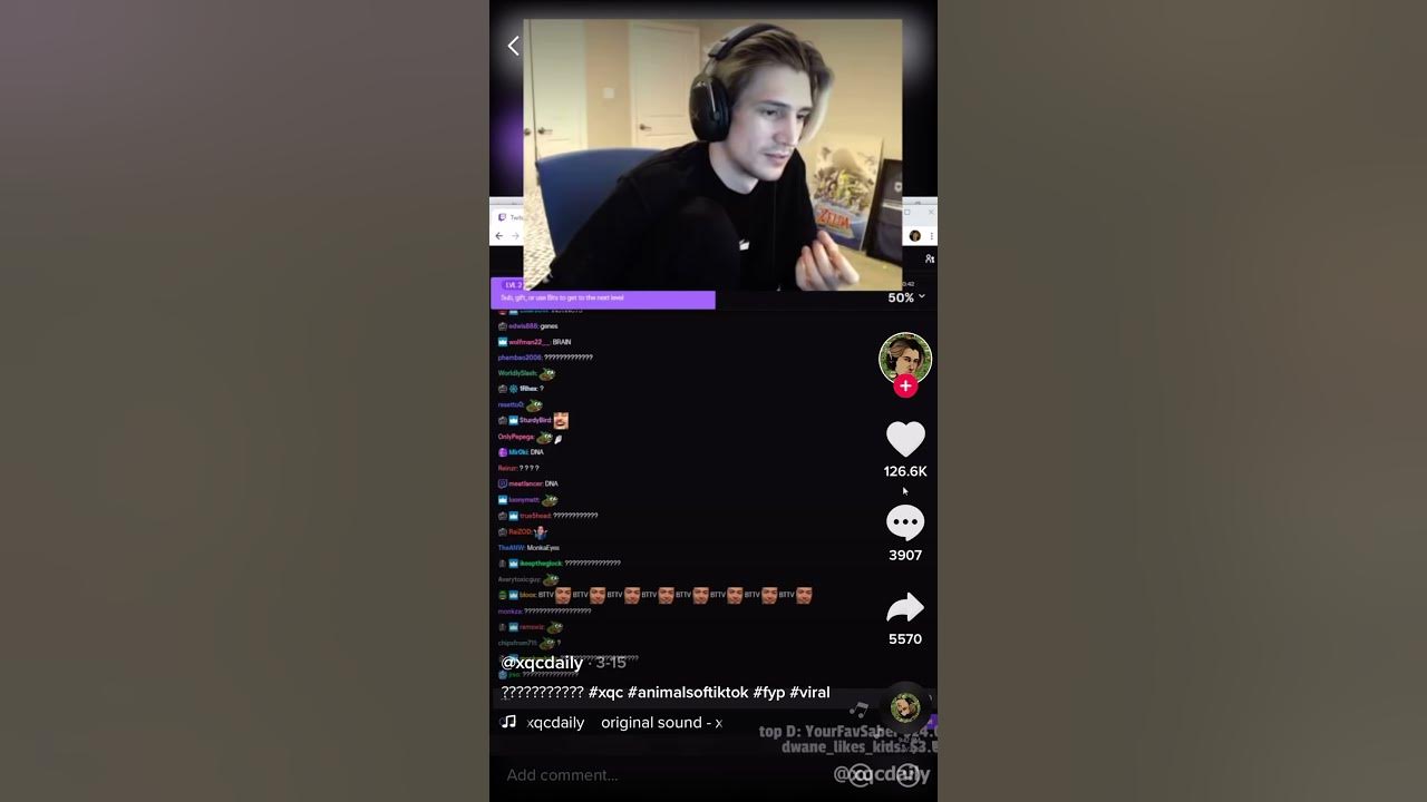 Xqc how Do Animals Know How To Animal YouTube xqc-how-do-animals-know-how-to-animal-youtube