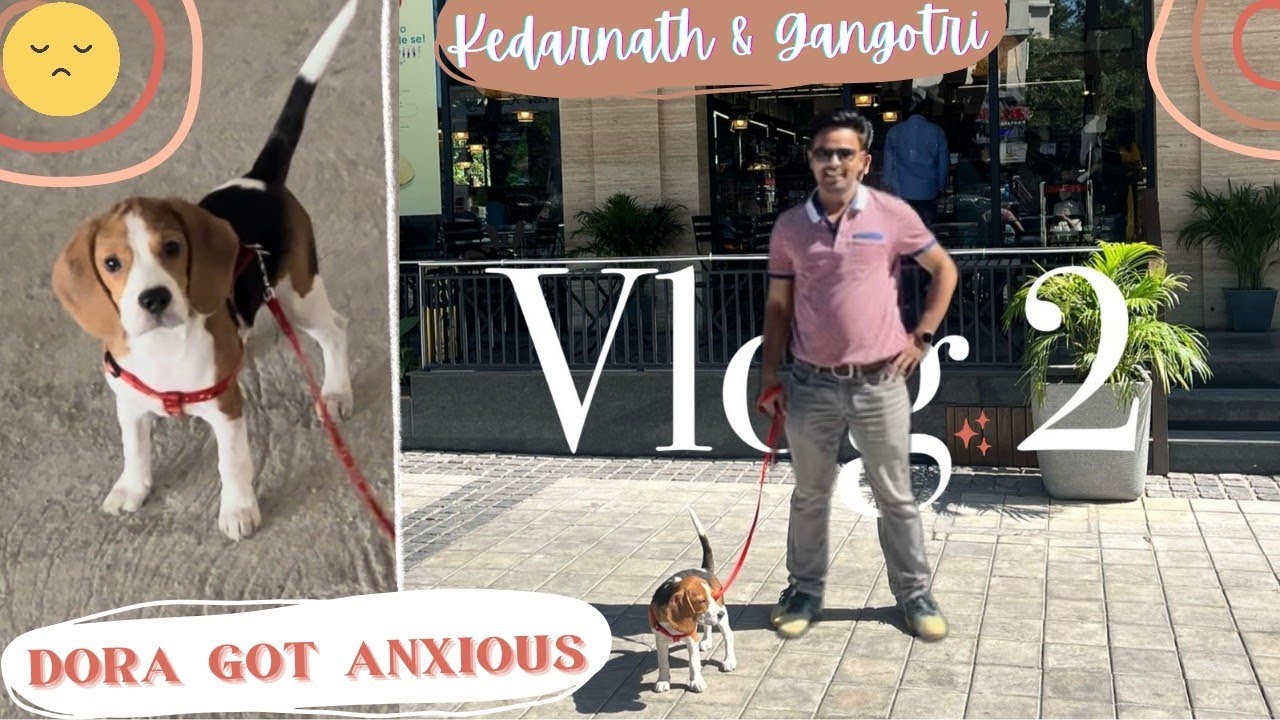 Vlog 2: Kedarnath & Gangotri | Day 2 with Dora | She is Anxious😰 # ...