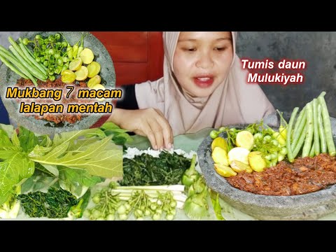 𝙏𝙐𝙈𝙄𝙎 𝙈𝙐𝙇𝙐𝙆𝙄𝙔𝘼𝙃,𝚖𝚊𝚔𝚊𝚗 𝚖𝚊𝚜𝚊𝚔𝚊𝚗 𝚜𝚞𝚗𝚍𝚊 𝚜𝚎𝚍𝚎𝚛𝚑𝚊𝚗𝚊, 𝙇𝘼𝙇𝘼𝙋𝘼𝙉 𝚐𝚎𝚛𝚊𝚝𝚒𝚜 𝚑𝚊𝚜𝚒𝚕 𝚊𝚕𝚊𝚖,𝚖𝚊𝚜𝚊𝚔 𝚖𝚊𝚔𝚊𝚗 𝚘𝚛𝚊𝚗𝚐 𝚜𝚞𝚗𝚍𝚊