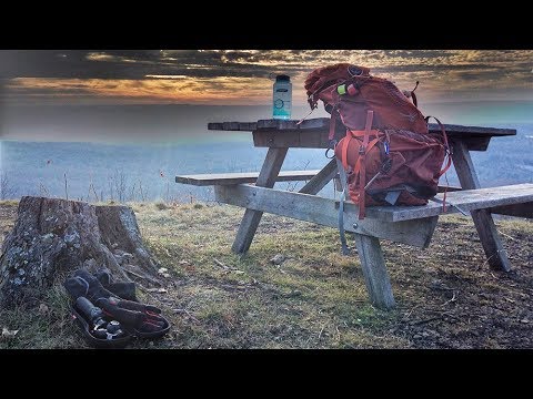 Old Loggers Path // Northeastern Lycoming County // Loyalsock State ...