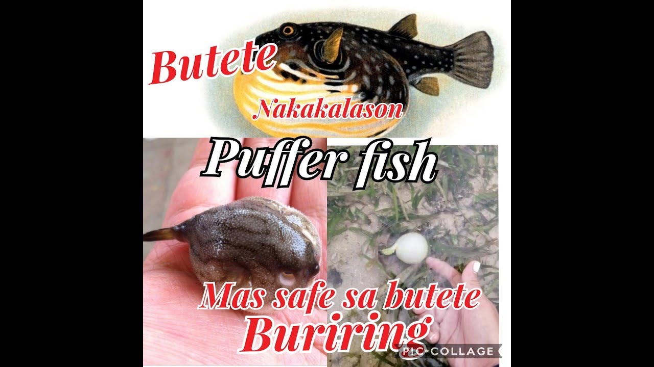Tabing Dagat | nanguha kami buriring #BUHAYPROBINSYA - YouTube