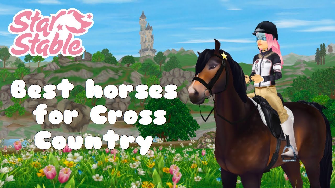 Best horses for Star Stable Cross Country| STAR STABLE ONLINE - YouTube