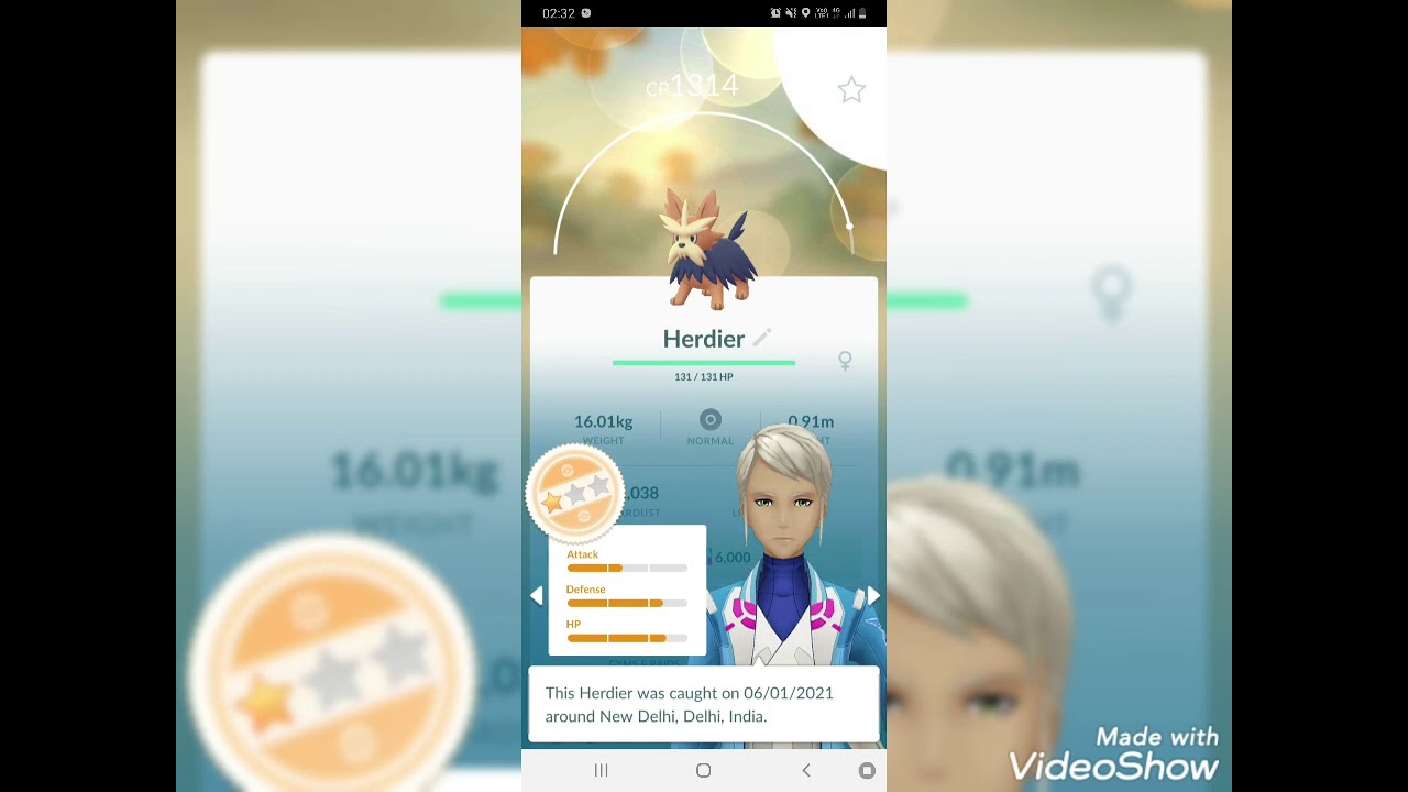 Herdier Evolution Video | Herdier | Stoutland | Pokemon Go - YouTube
