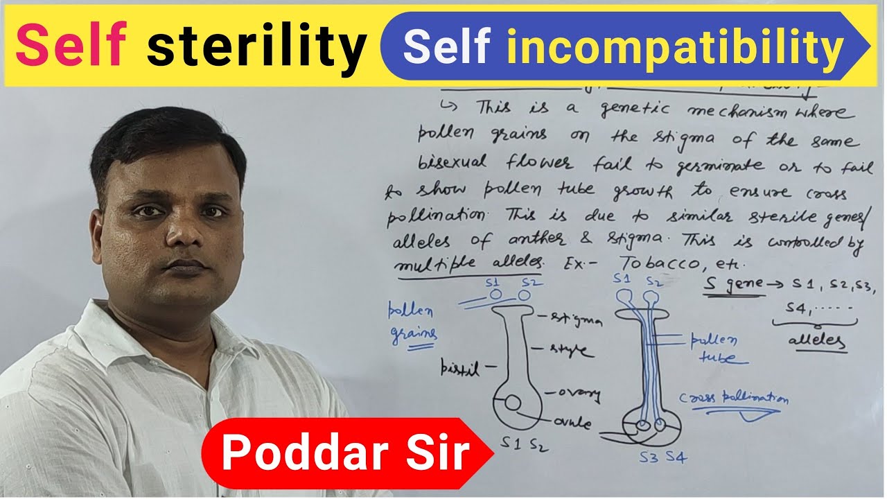 Self sterility/self incompatibility/Sexual Reproduction in Flowering ...