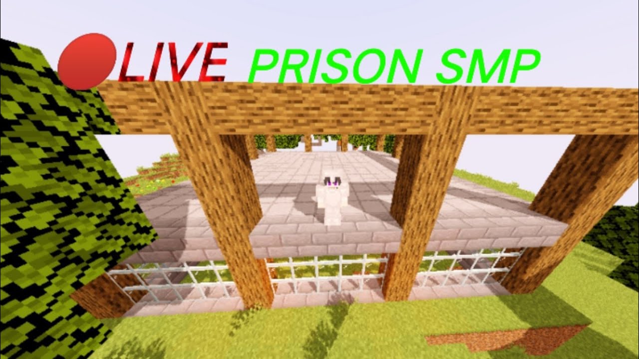 🔴Minecraft Live | Minecraft prison smp with subscribers | anyone can ...