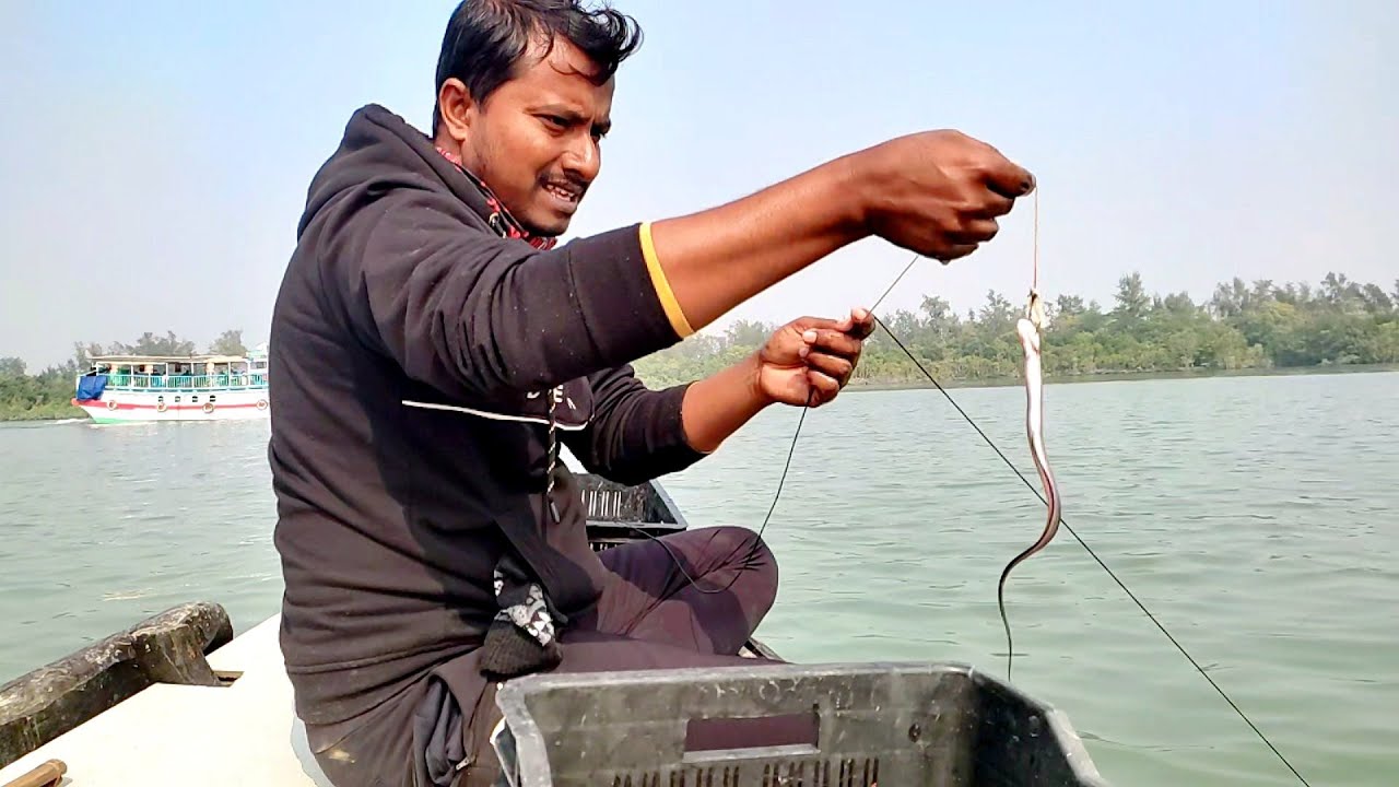 Hook fishing in Sundarban river । fishing video । Sundarban fishing ...