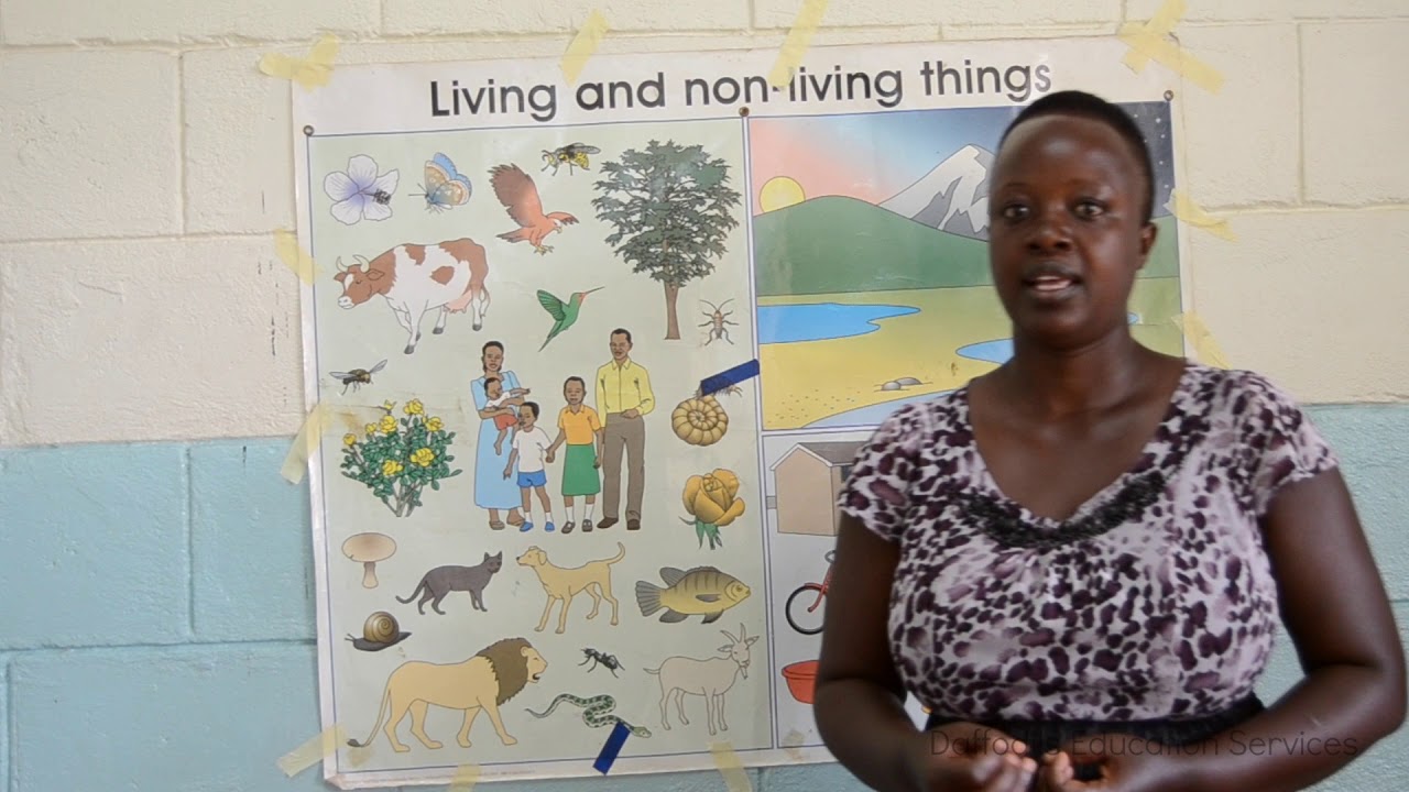 Living Things - Primary 1 - YouTube
