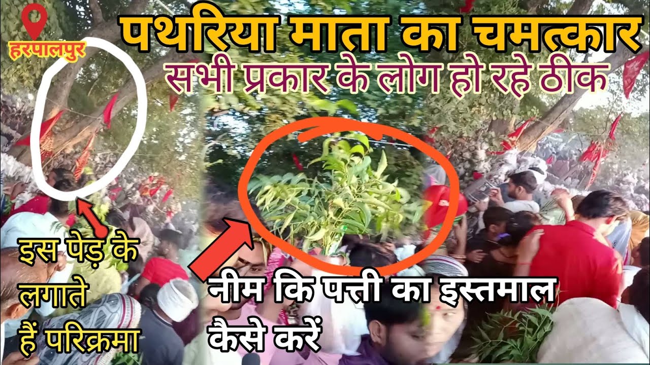 Pathariya Mata ka Chamtkar | Pathariya Mata ka Chamtkar 2023 ...