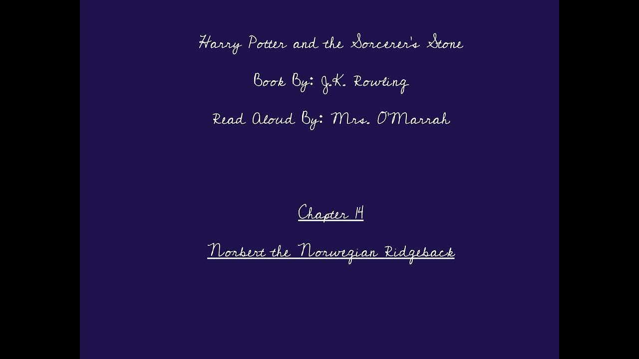 Harry Potter and the Sorcerer's Stone Read Aloud Chapter 14 - YouTube