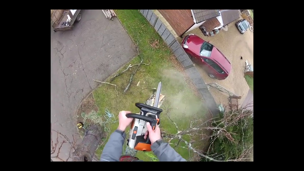 Fracture Pruning - Coronet cuts - Habitat Creation - Retrenchment ...