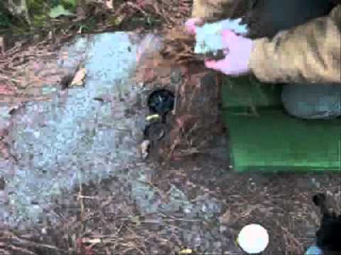 Making wood Char.wmv - YouTube