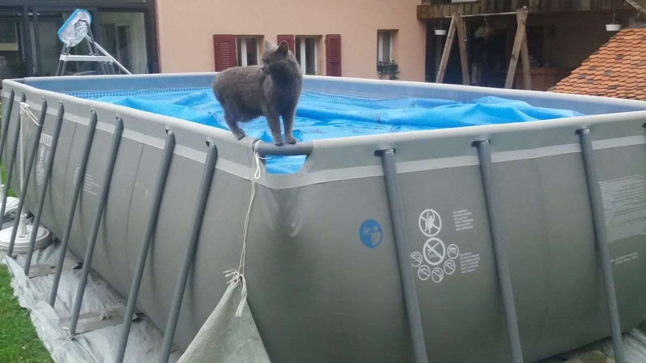 //INTEX Family Swimming Pool //550 X 275//17000L #nenedarx - YouTube